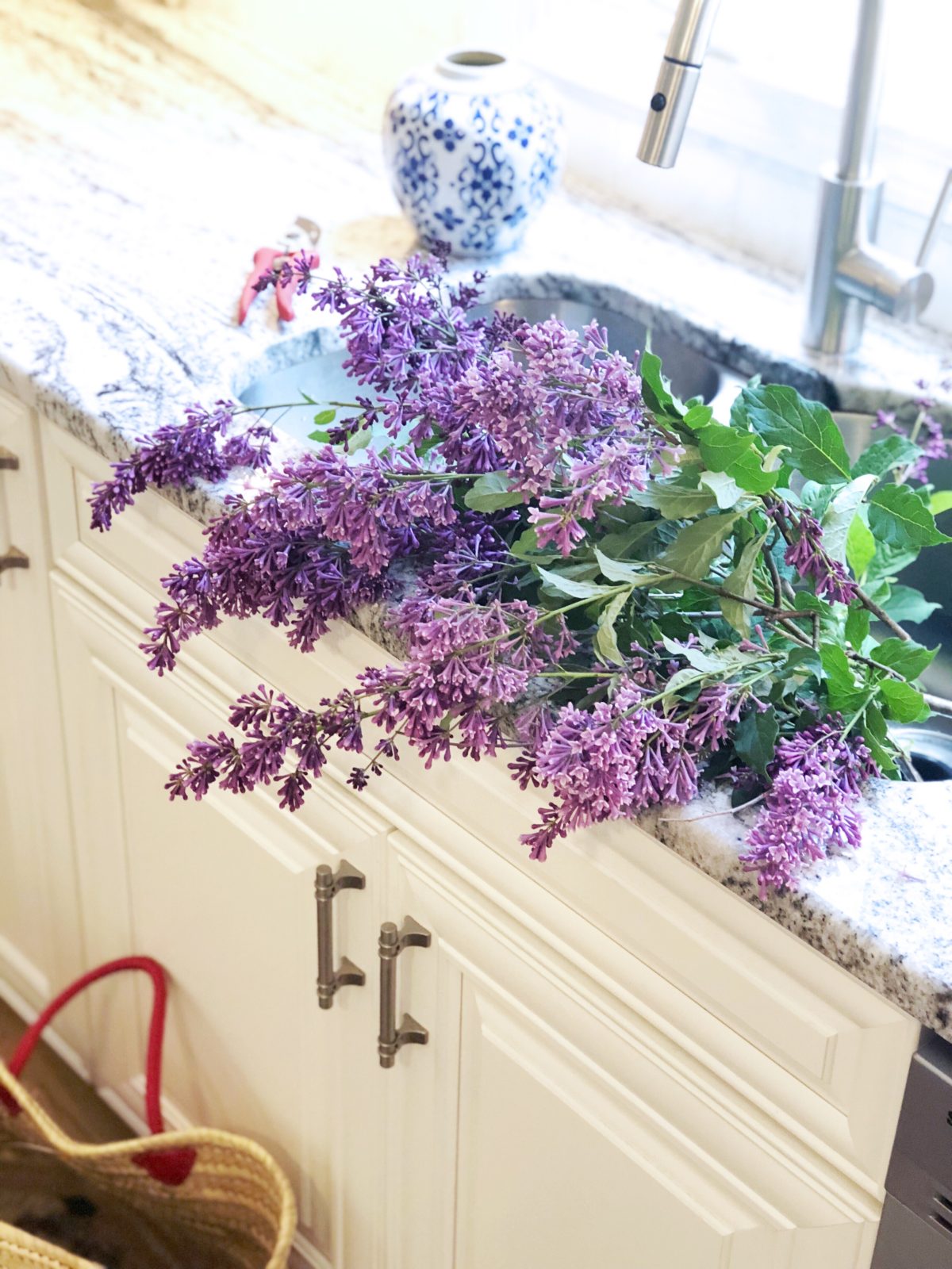 Fresh Lilacs and How to Care for Them - Rosa Diana
