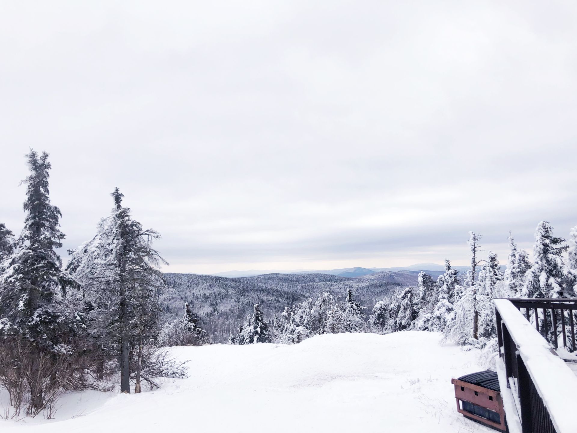 Our Ski Trip to Mt. Sunapee - Rosa Diana